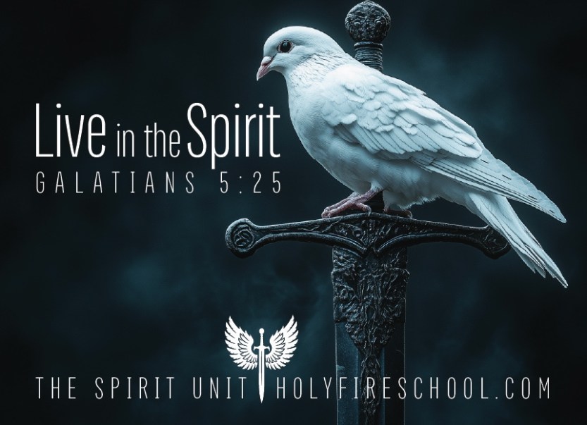 The Spirit Unit, Beginning 3 August – Invasion of Light